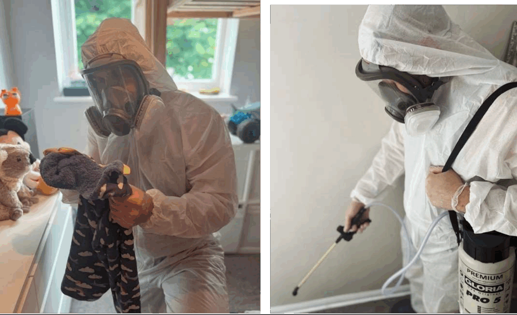 Bed Bug Treatment - Osprey Pest Control